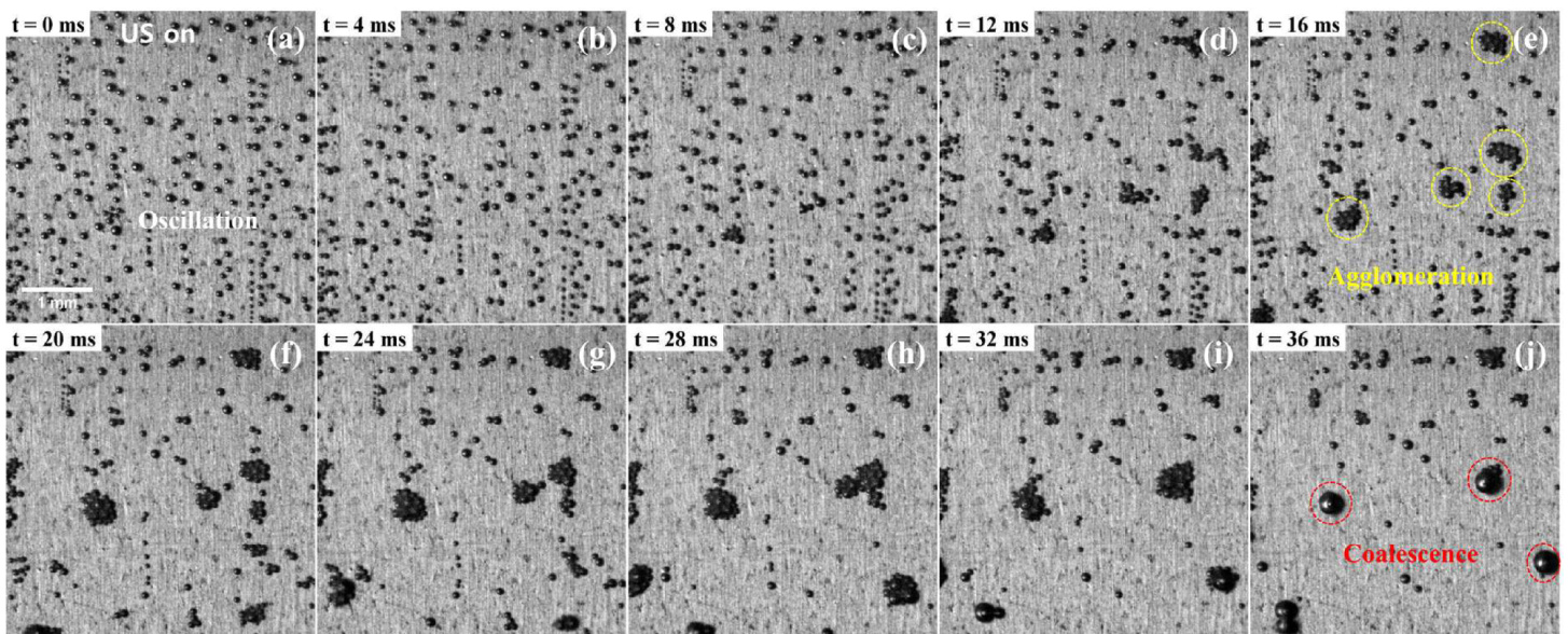Hydrodynamic behavior of bubbles at gas-evolving electrode in ...
